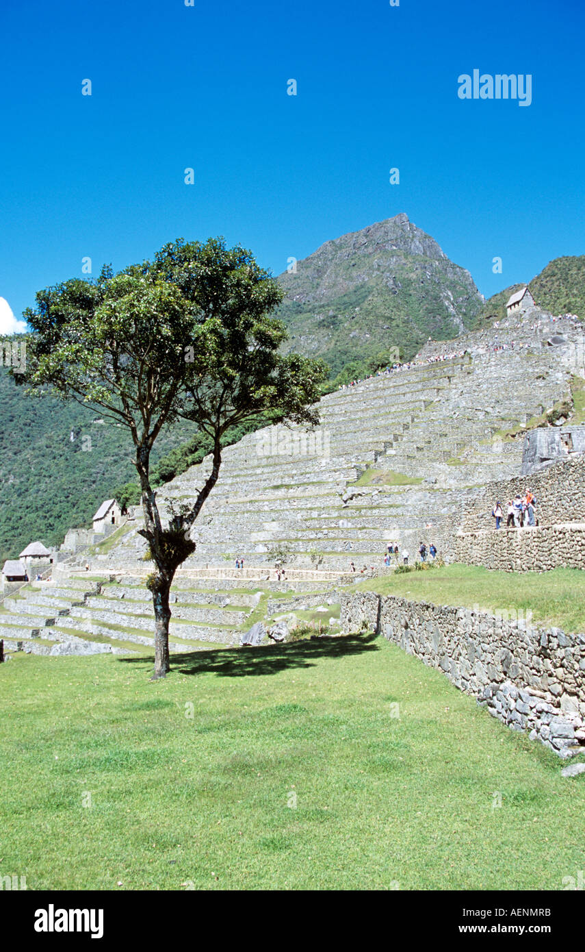 Inca stone steps on inca hi-res stock photography and images - Alamy