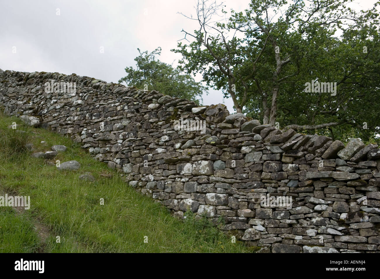 Dry stone wall built on hill, with grass and background, Lake District ...
