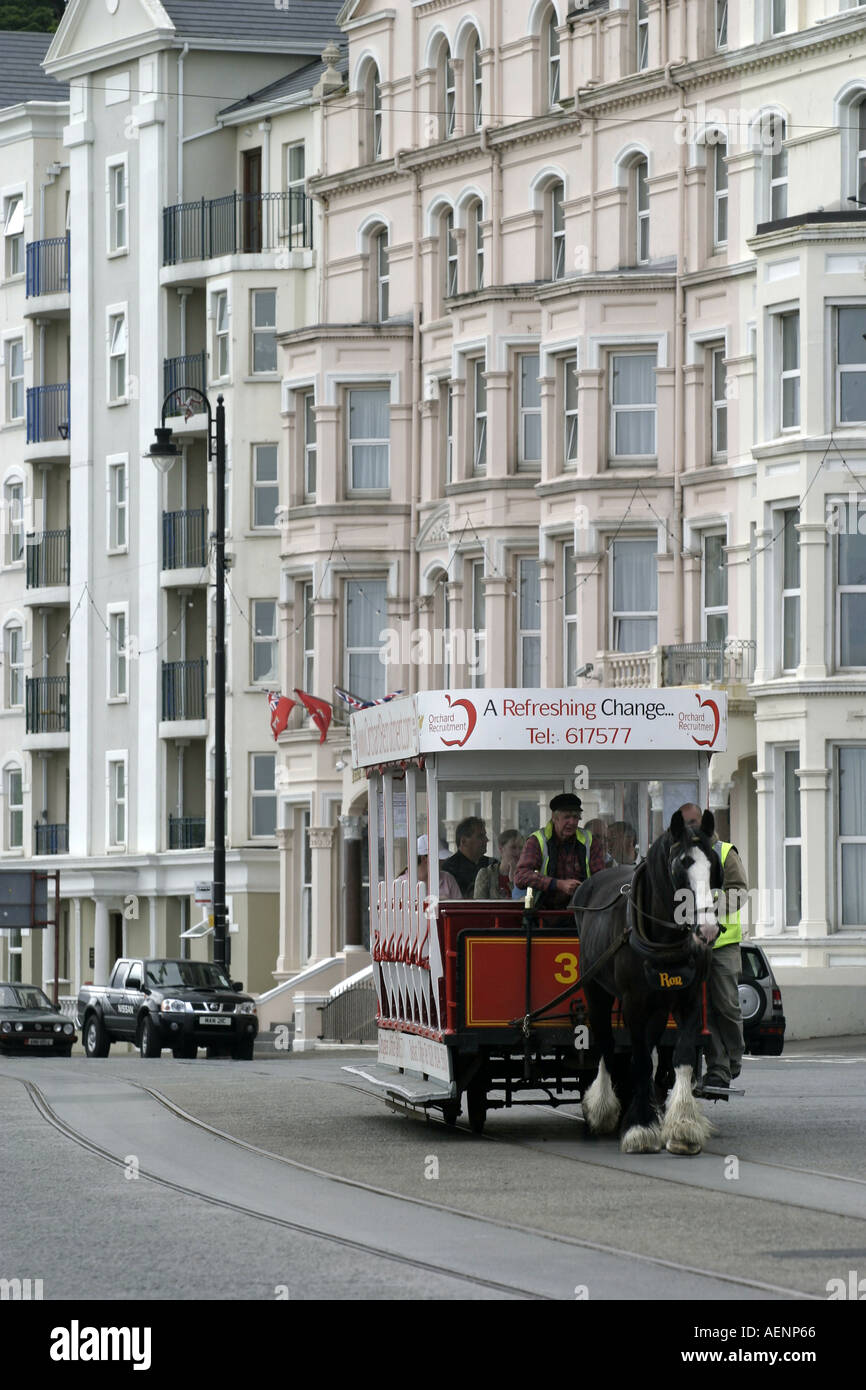 Manx transport Horse drawn tram on victorian seafront douglas isle of ...