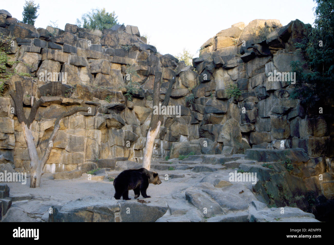 Tierpark zoo berlin hi-res stock photography and images - Alamy