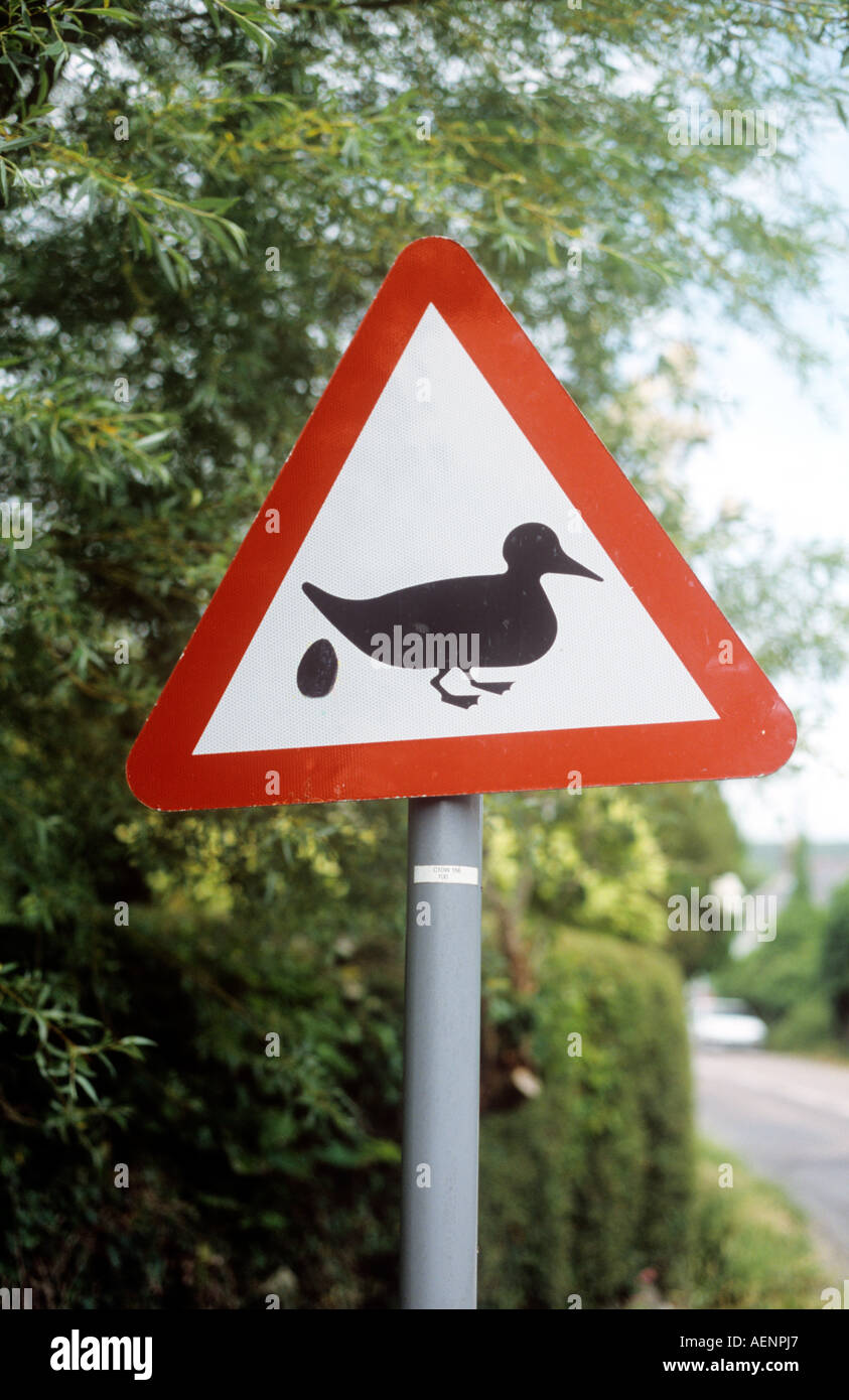 Ducks crossing road sign with egg laid Stock Photo - Alamy