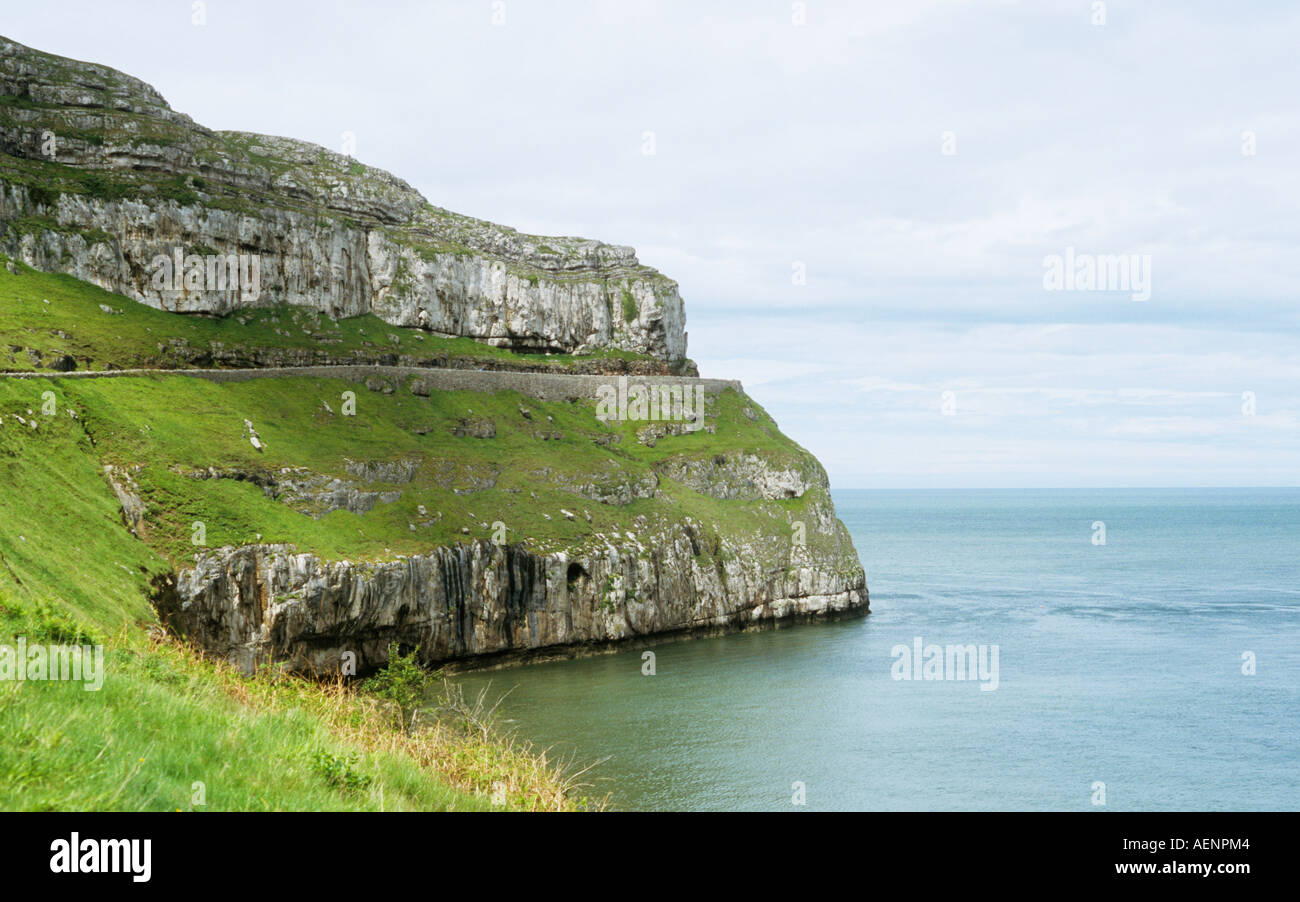 The great orme nature reserve hi-res stock photography and images - Alamy