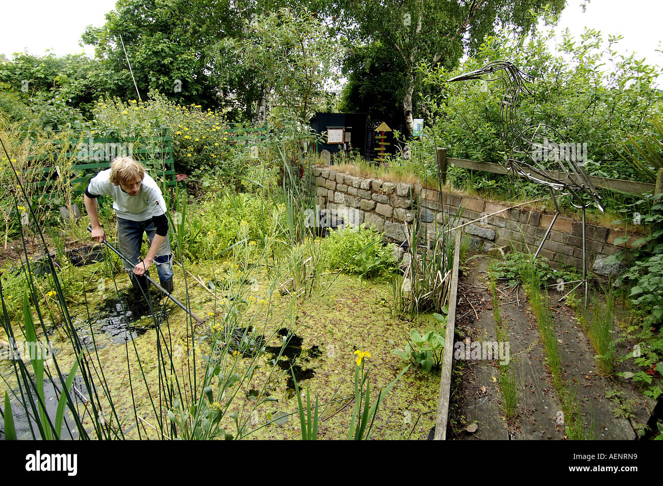 Spitalfields City Farm London UK Stock Photo - Alamy