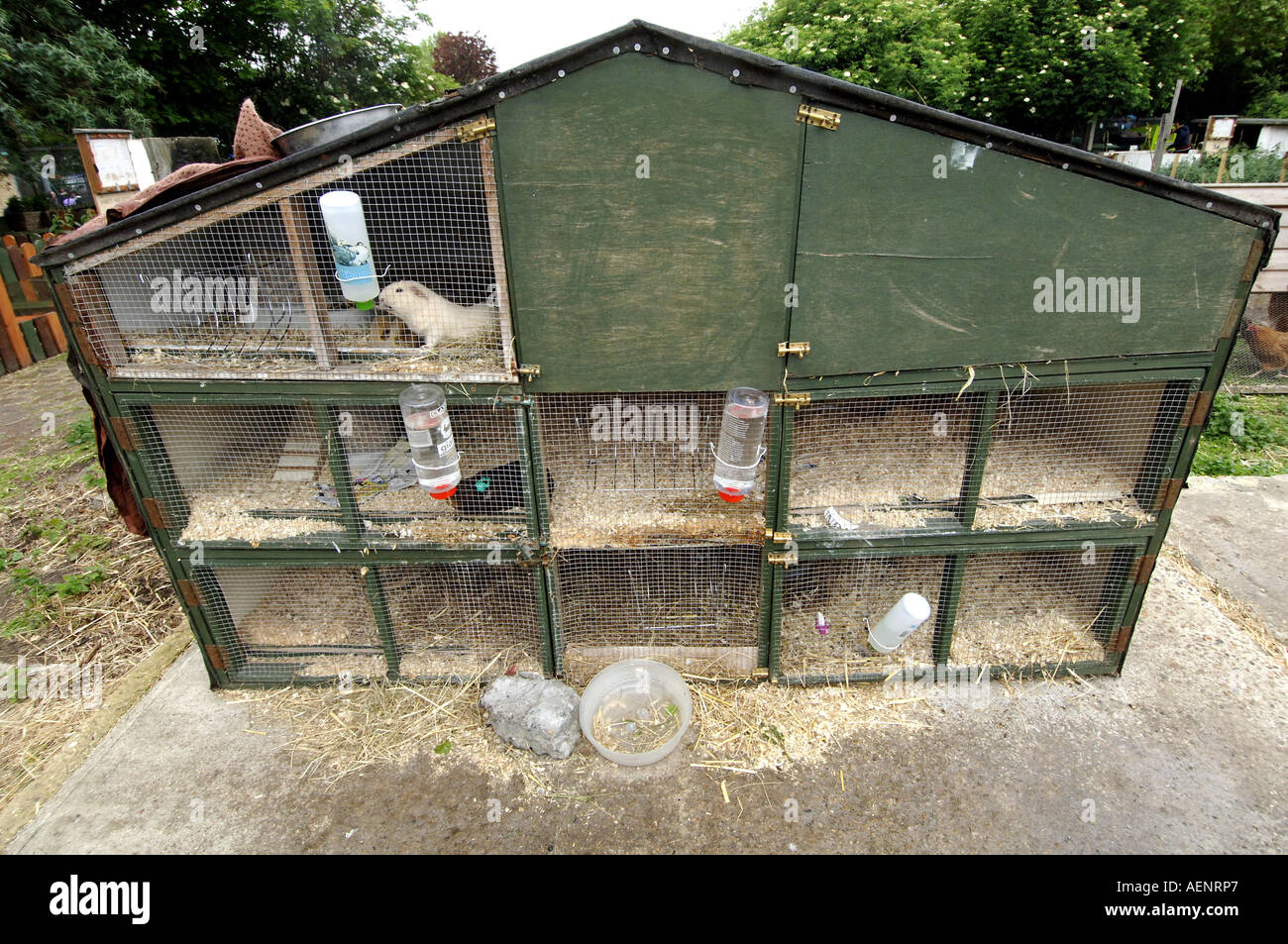 Spitalfields City Farm London UK Stock Photo - Alamy