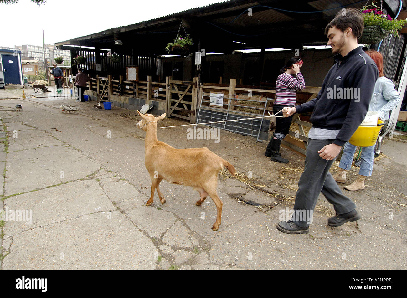 Spitalfields City Farm London UK Stock Photo - Alamy
