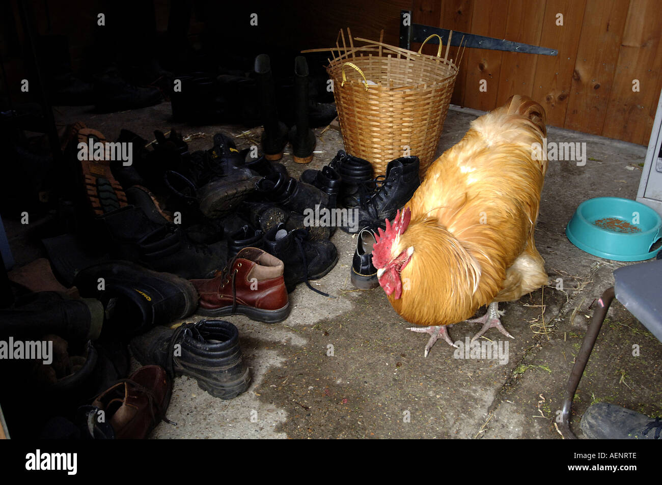 Spitalfields City Farm London UK Stock Photo - Alamy