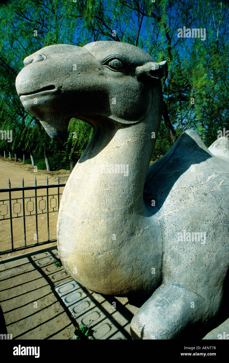 Beijing China Carved stone camel on the Spirit Way Shen Dao at the Ming ...
