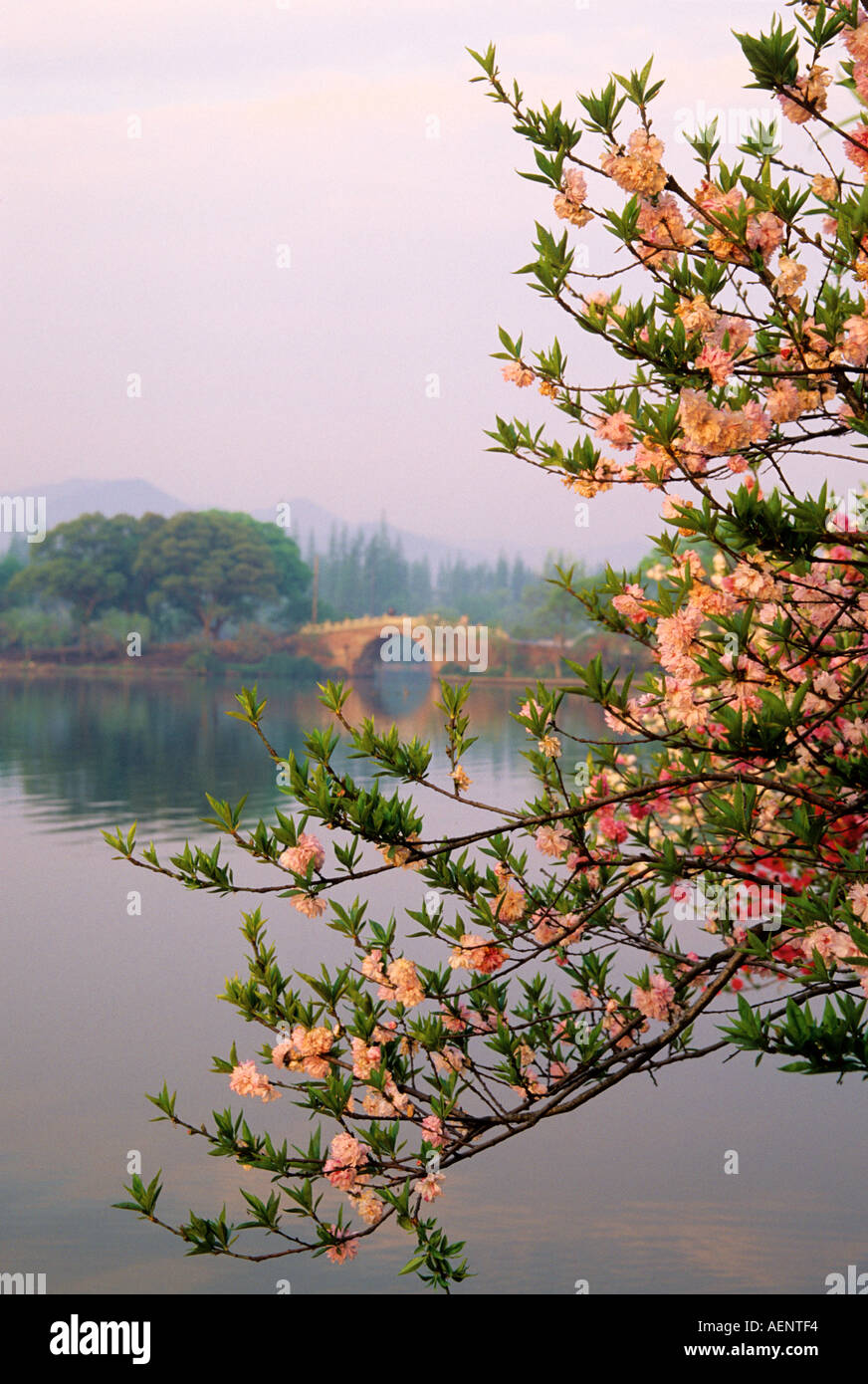 Hangzhou west lake china su causeway hi-res stock photography and ...