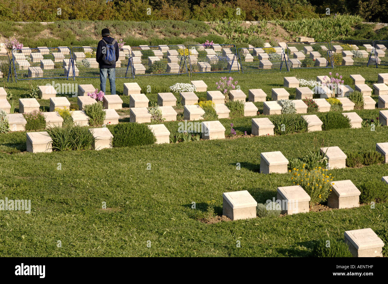 Australian graves in the Lone Pine World War WW1 one cemetery on the ...