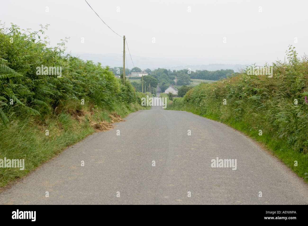 looking south down Sarn Helen the old roman road near Tregaron ...