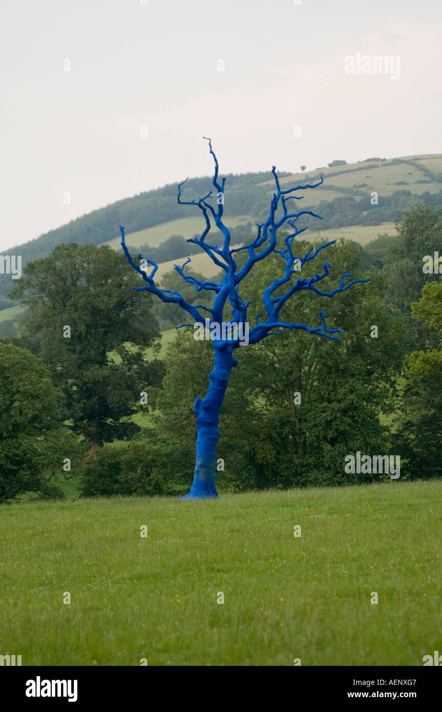 Tree wrapped in blue fabric by welsh artist Philippa Lawrence. in a ...