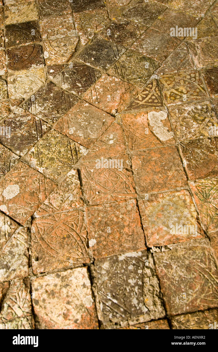 Ruined Abbey Strata Florida High Resolution Stock Photography and ...