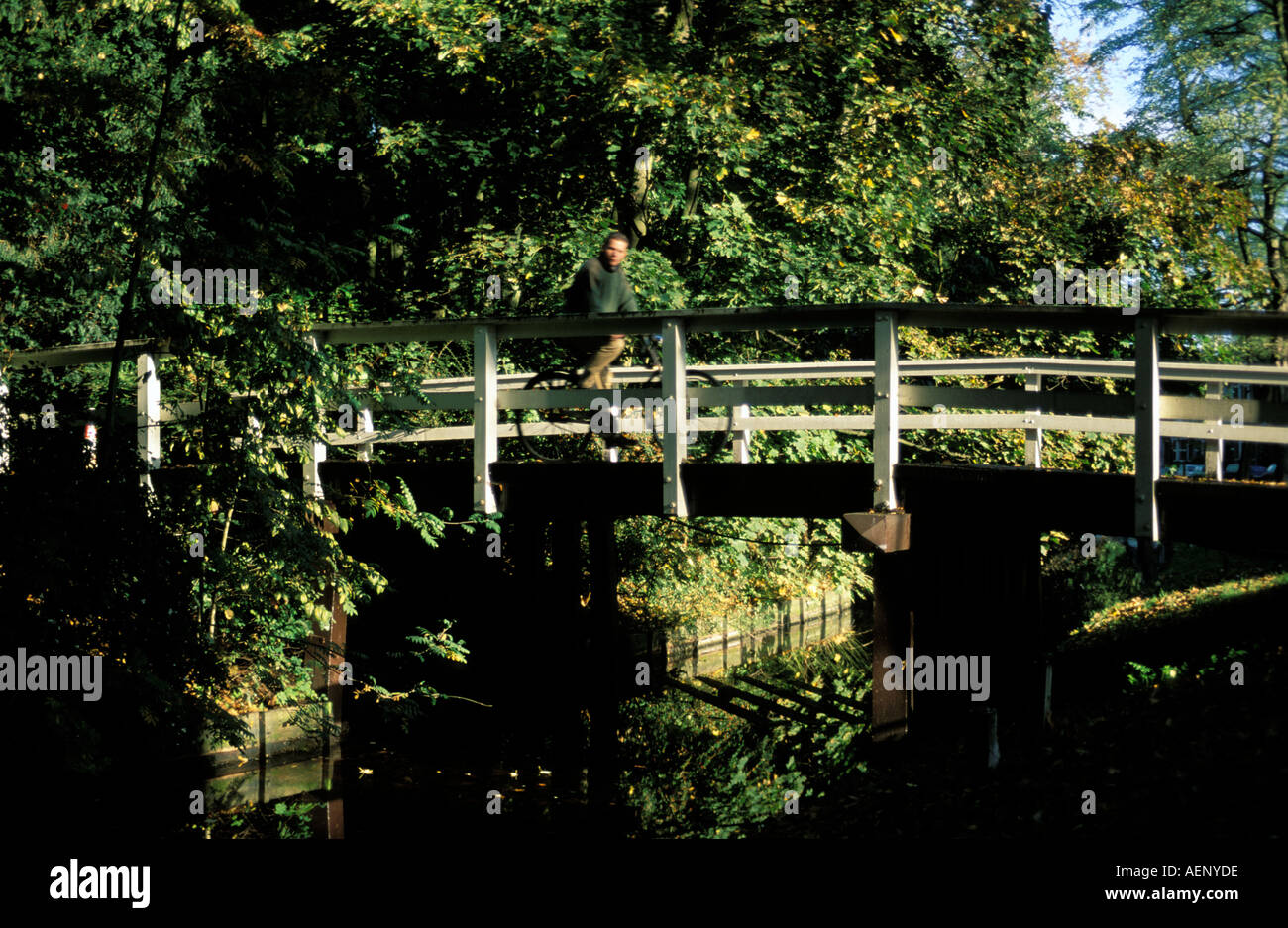 Wilhelminapark hi-res stock photography and images - Alamy