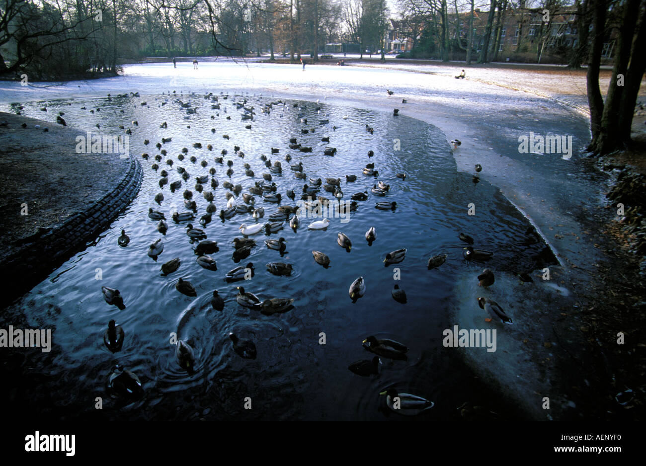 Wilhelminapark hi-res stock photography and images - Alamy