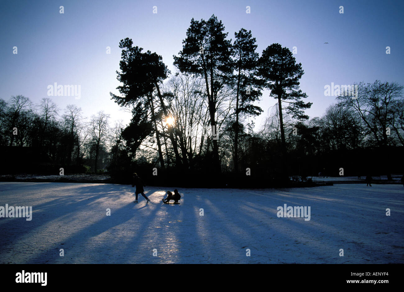 Wilhelminapark hi-res stock photography and images - Alamy