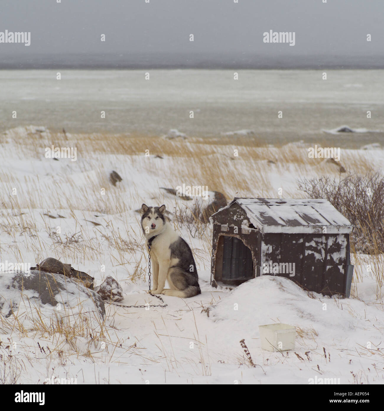 Landscapeterraintied hi-res stock photography and images - Alamy