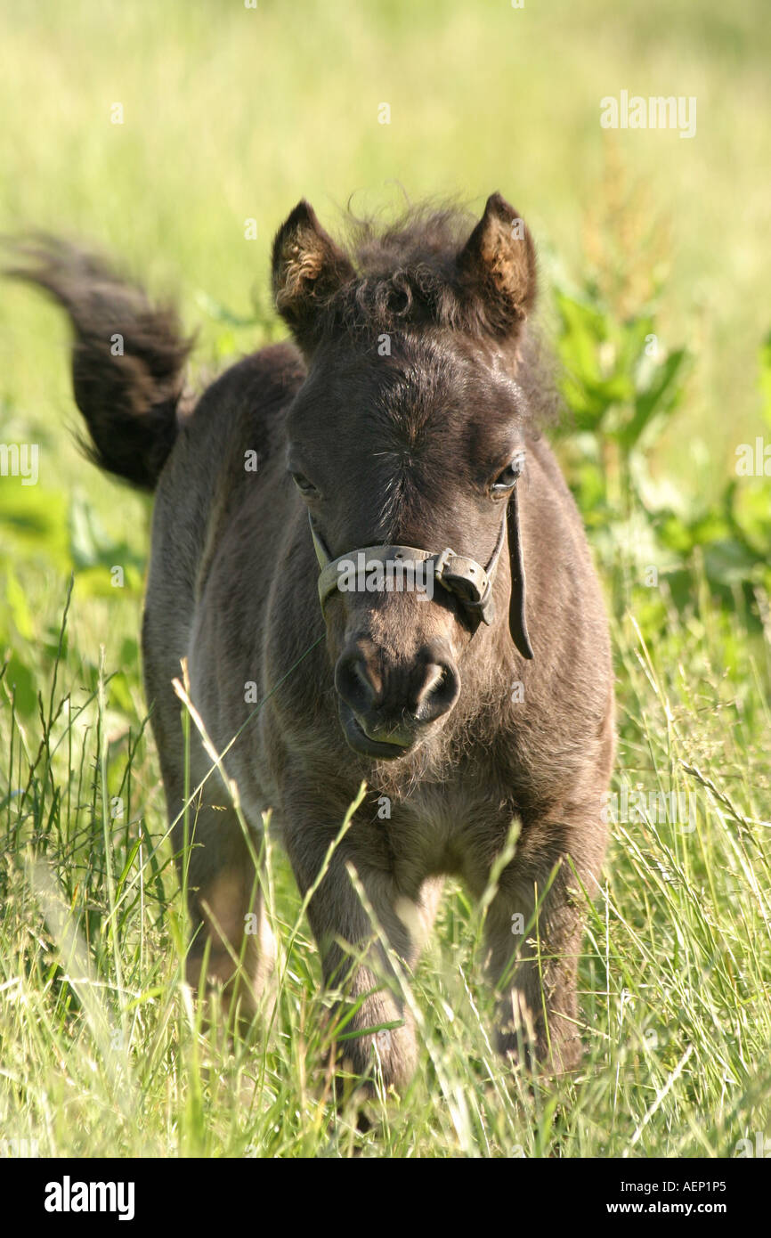 Swishing hi-res stock photography and images - Alamy