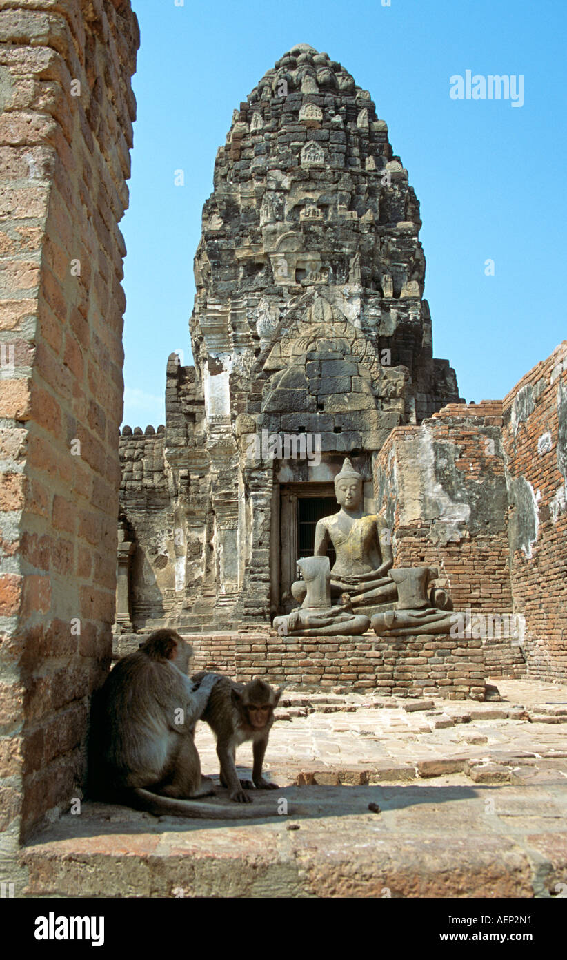 Monkey temple khmer temple prang hi-res stock photography and images ...