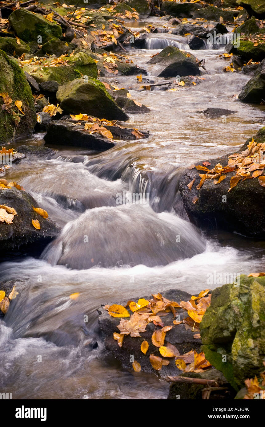 Mountain water stream in fall Stock Photo - Alamy