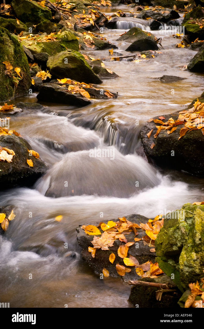 Branch stream maryland hi-res stock photography and images - Alamy