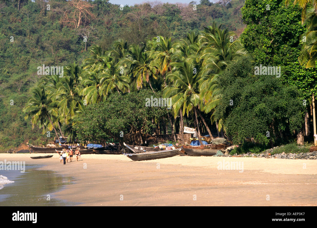 India Goa Palolem beach Stock Photo - Alamy