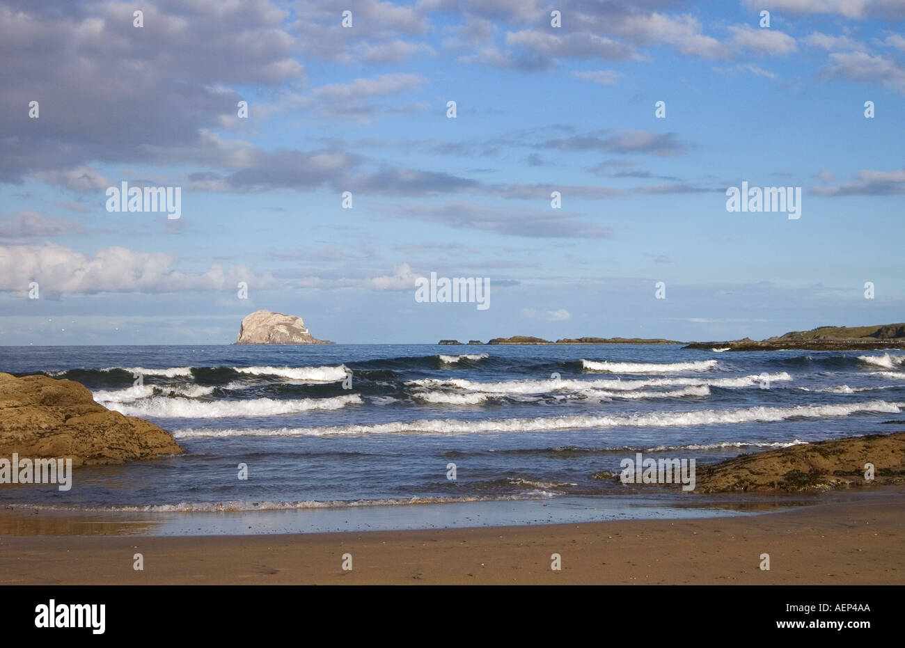 dh Bass Rock NORTH BERWICK LOTHIAN Sandy beach and craggy bird ...