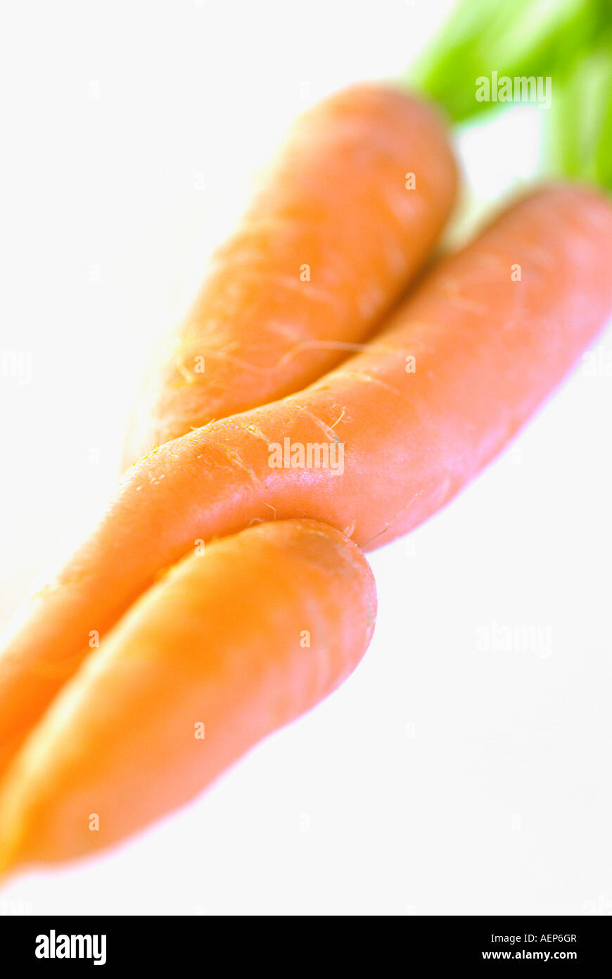 Intertwined pair of carrots Stock Photo - Alamy