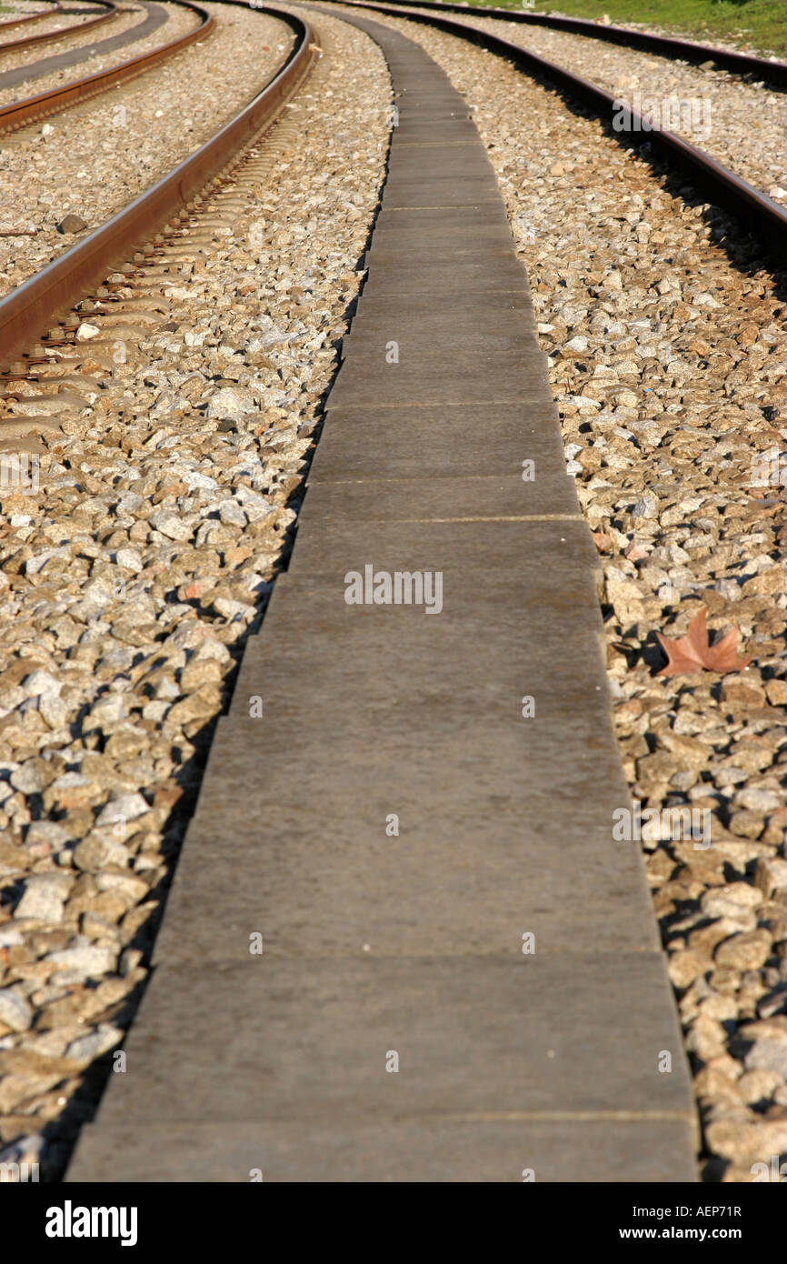 several rail tracks disappearing in the horizon Stock Photo - Alamy