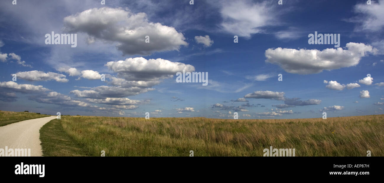 Springbrook Prairie Forest Preserve Trail. Dupage County, Illinois, USA ...
