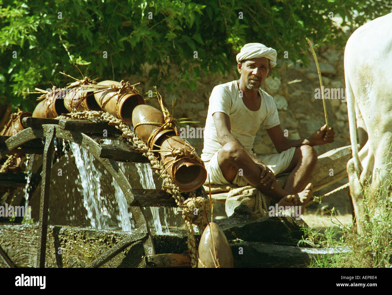 Buffalo Driven Water Wheel Stock Photo - Alamy