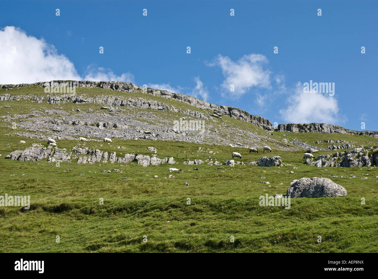 Typical limestone scars in the Yorkshire Dales UK Stock Photo - Alamy
