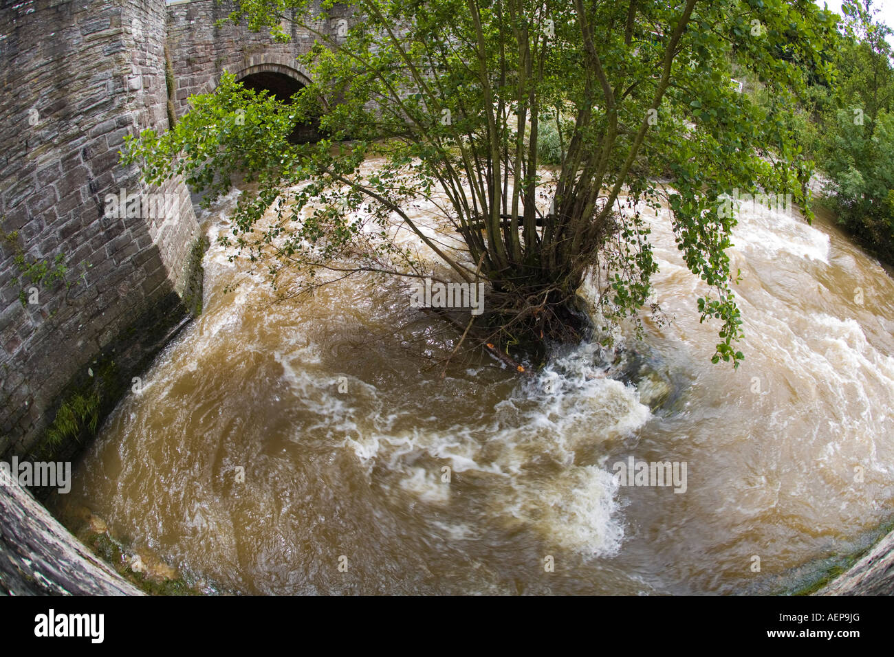 Flooding uk hi-res stock photography and images - Alamy