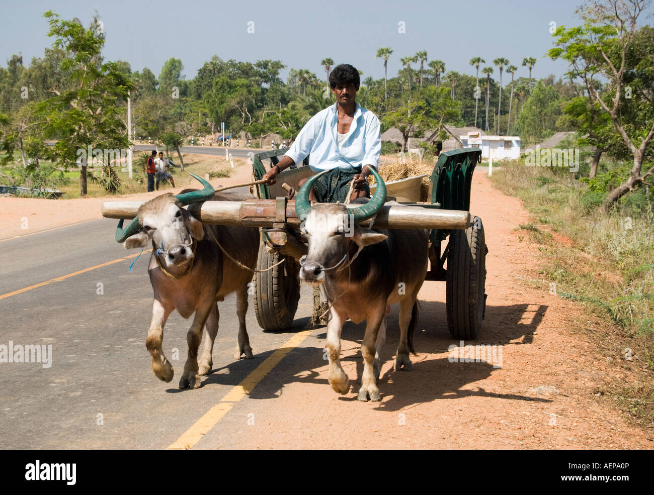 The work in the Marakanam Salt Pans Stock Photo - Alamy