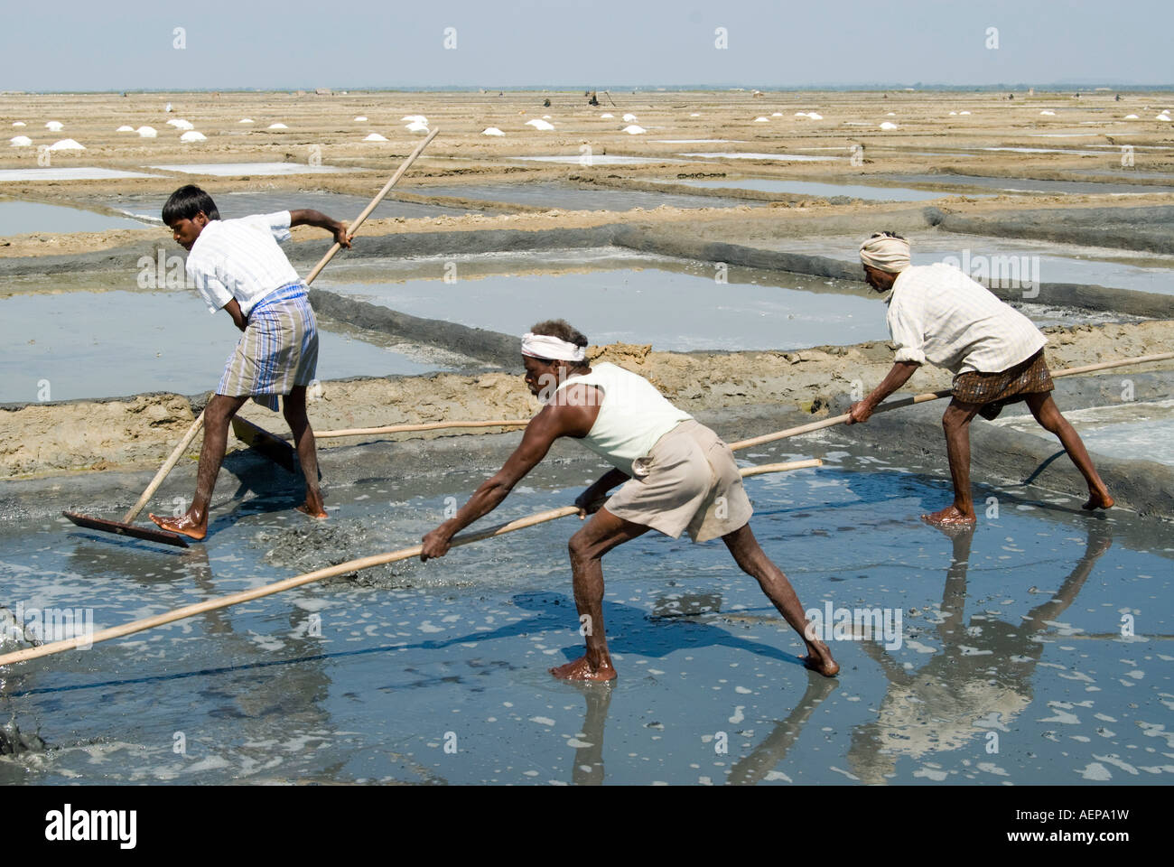 Salt pans tamil nadu india hi-res stock photography and images - Alamy