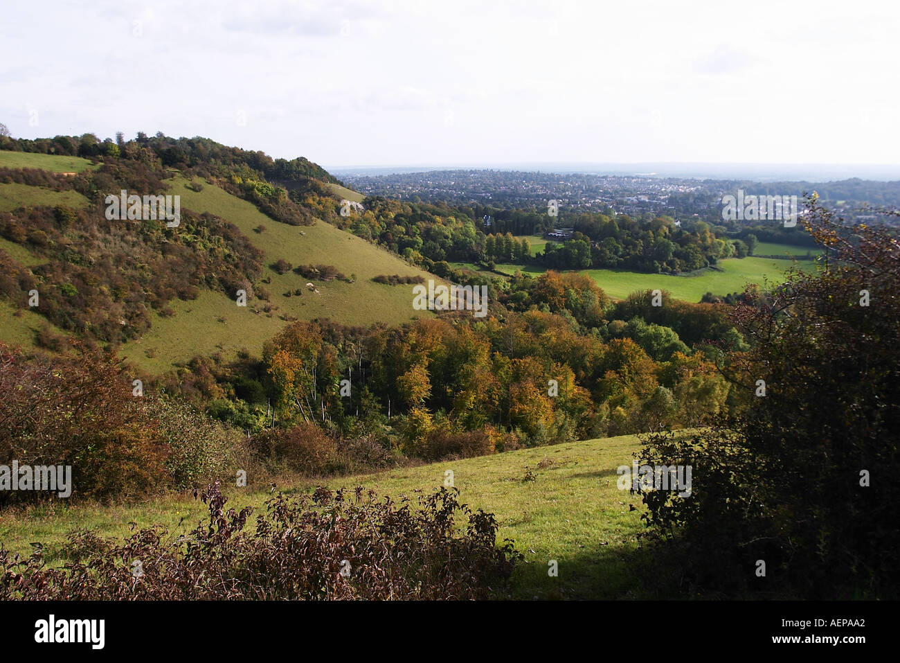 Photograph of Reigate Surrey showing Reigate Hill in Autumn Stock Photo ...