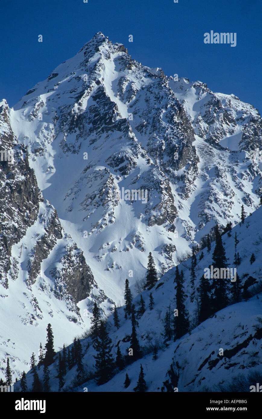 USA Alaska Chugach National Forest Snow covered Chugach Range peaks ...