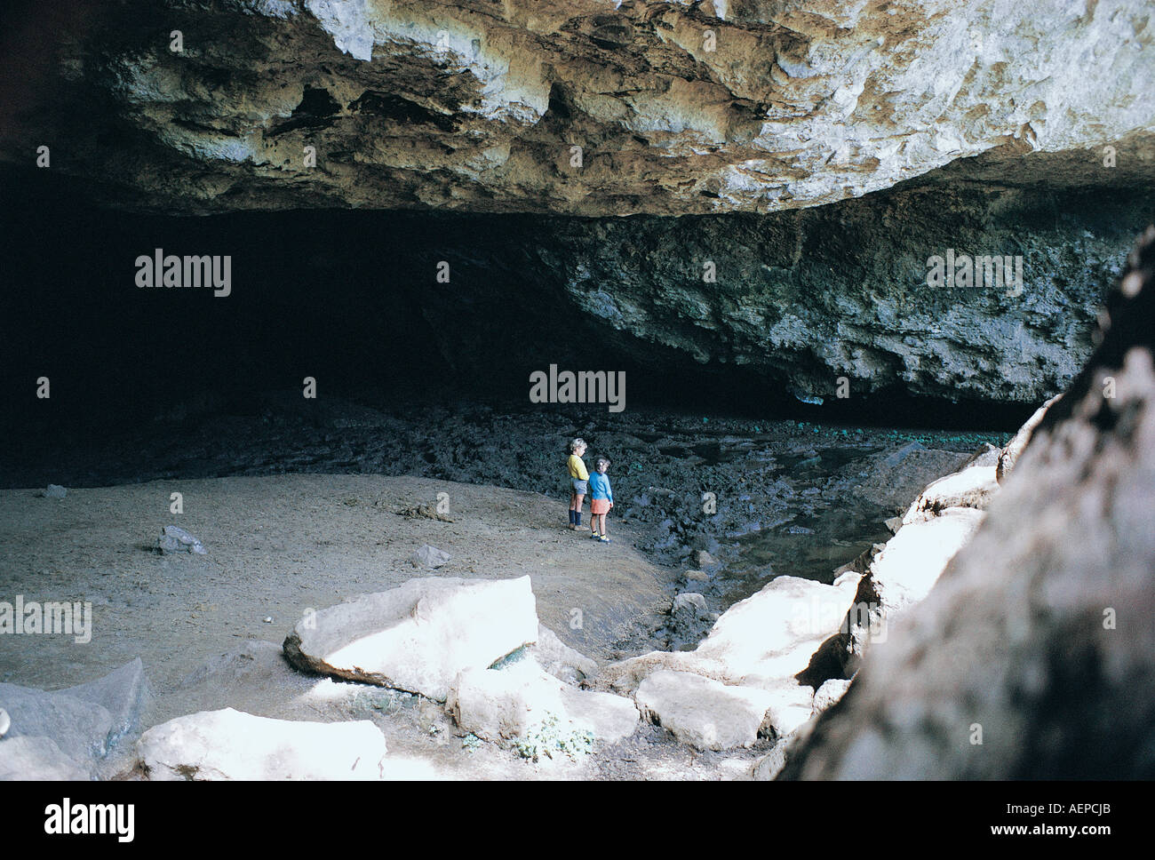 Bats at cave entrance hi-res stock photography and images - Alamy
