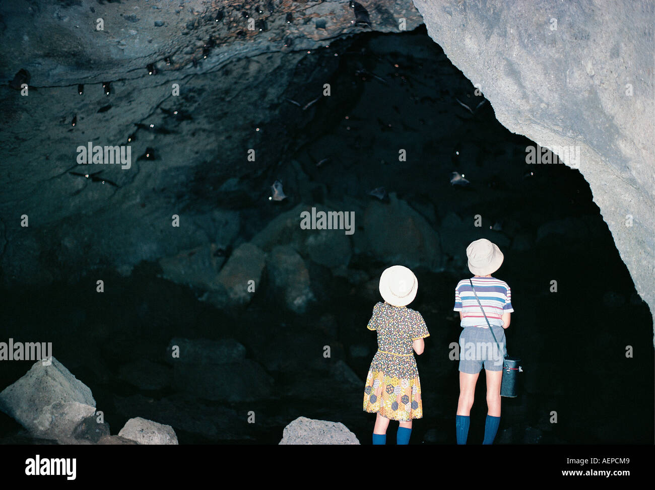 Two white Caucasian children watching bats inside Kitum Cave on Mount ...
