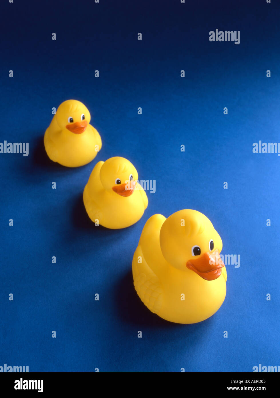 three rubber ducks on a blue background Stock Photo - Alamy