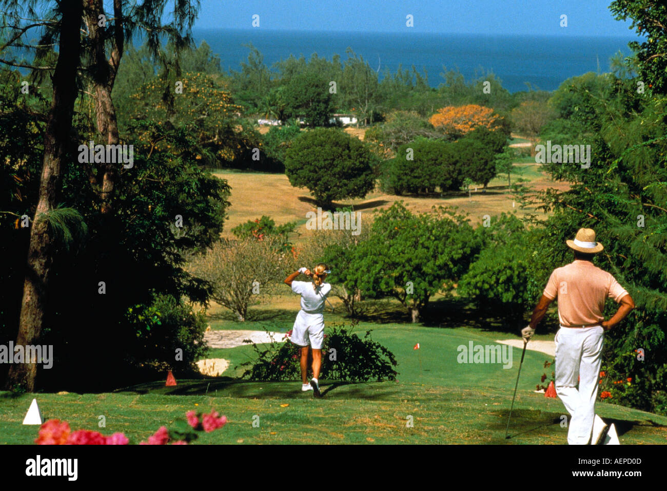 golfcourse near hotel sandy lane island of barbados archipelago of the ...