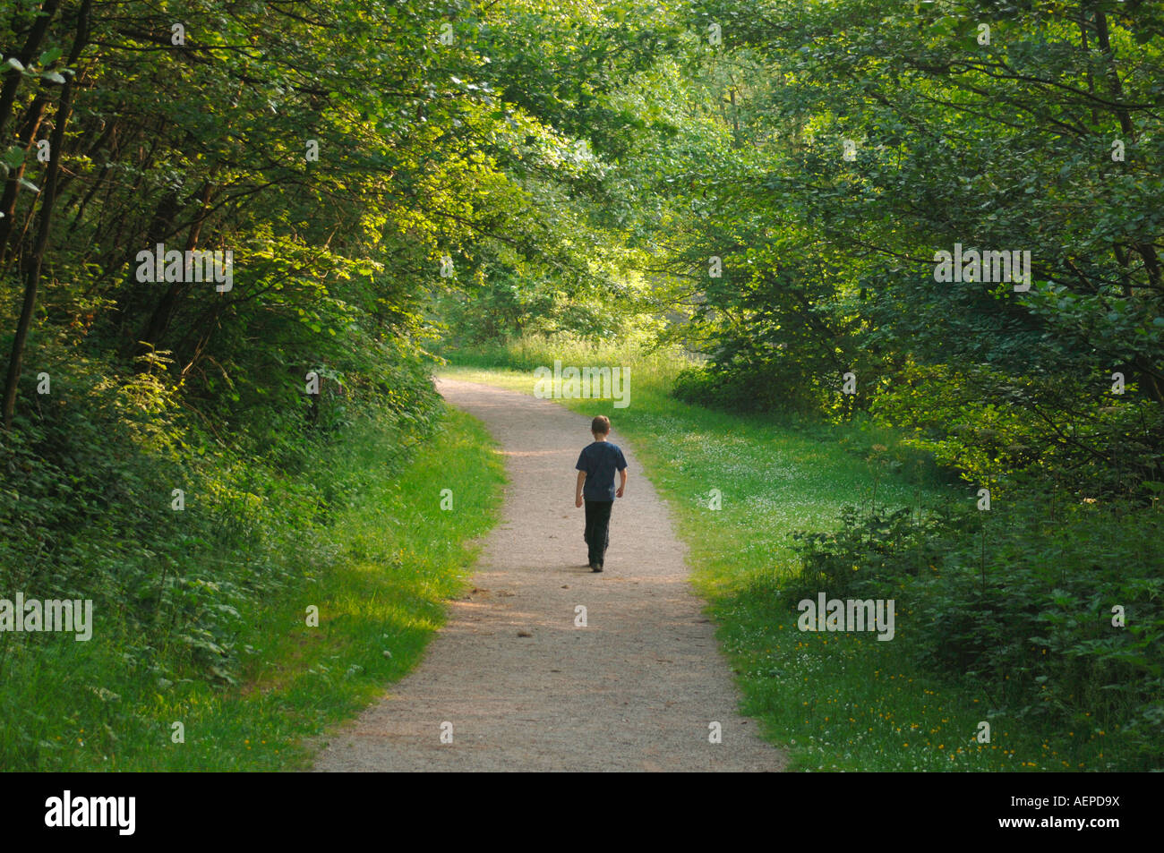 Boy Walking Along A Woodland Path Stock Photo - Alamy