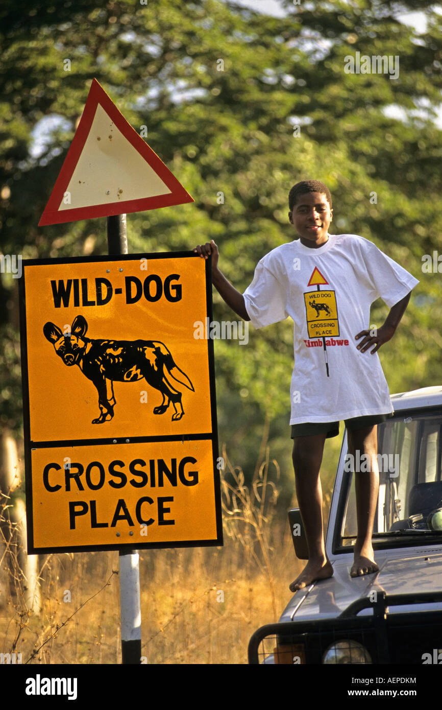 Zimbabwe Bulawayo, Road sign Crossing place of Painted hunting dog. Boy ...