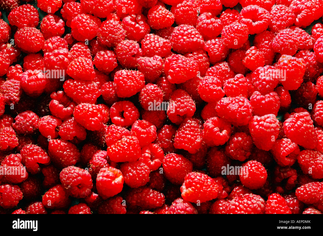 A Bunch of Red Raspberries Stock Photo - Alamy