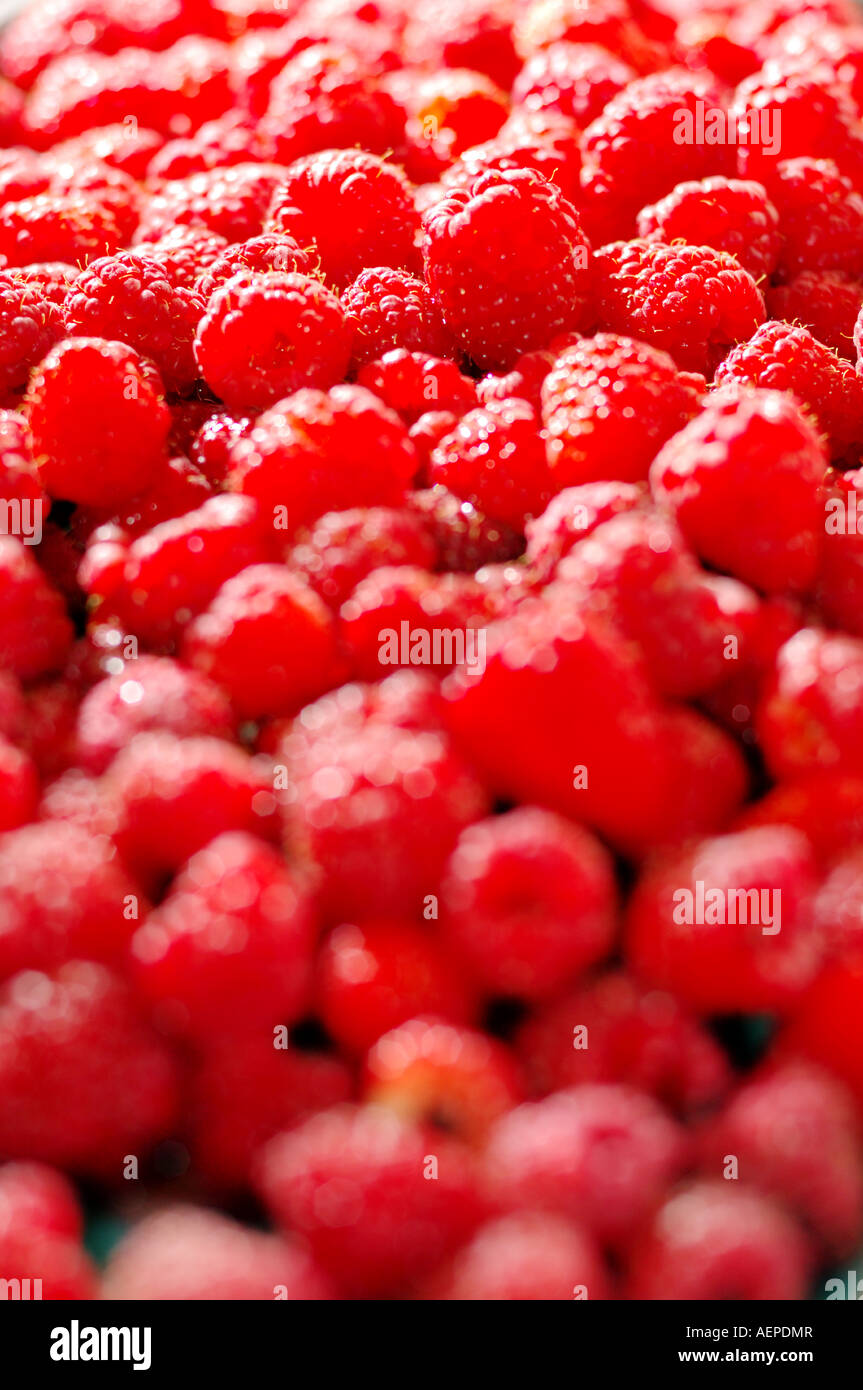 A Bunch of Red Raspberries Stock Photo - Alamy