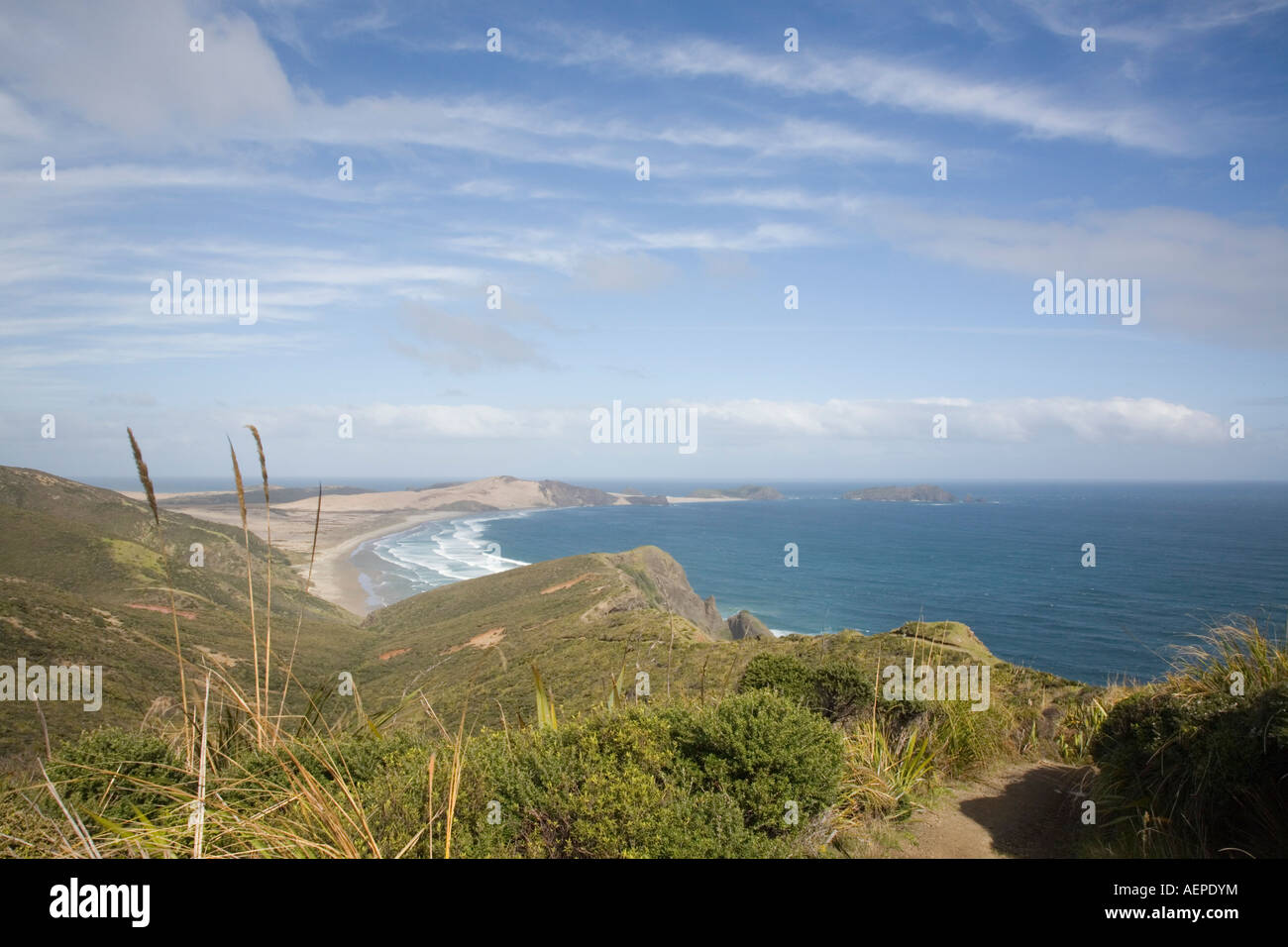 Cape Reinga Coastal Walkway on cliff top in Te Paki Reserve Aupori ...