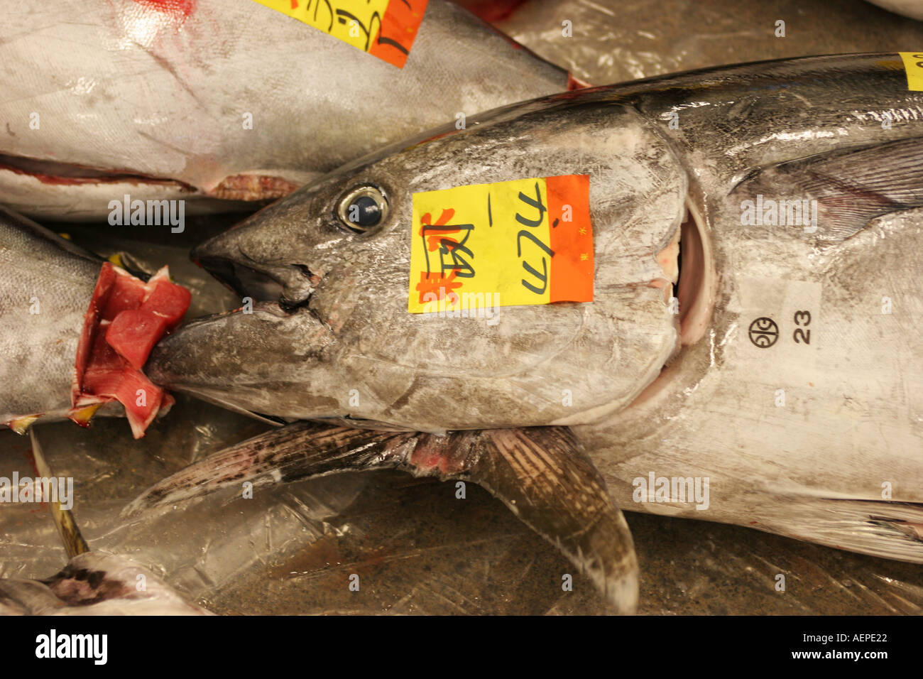 Tokyo Japan Tsukiji Fish Market Stock Photo - Alamy
