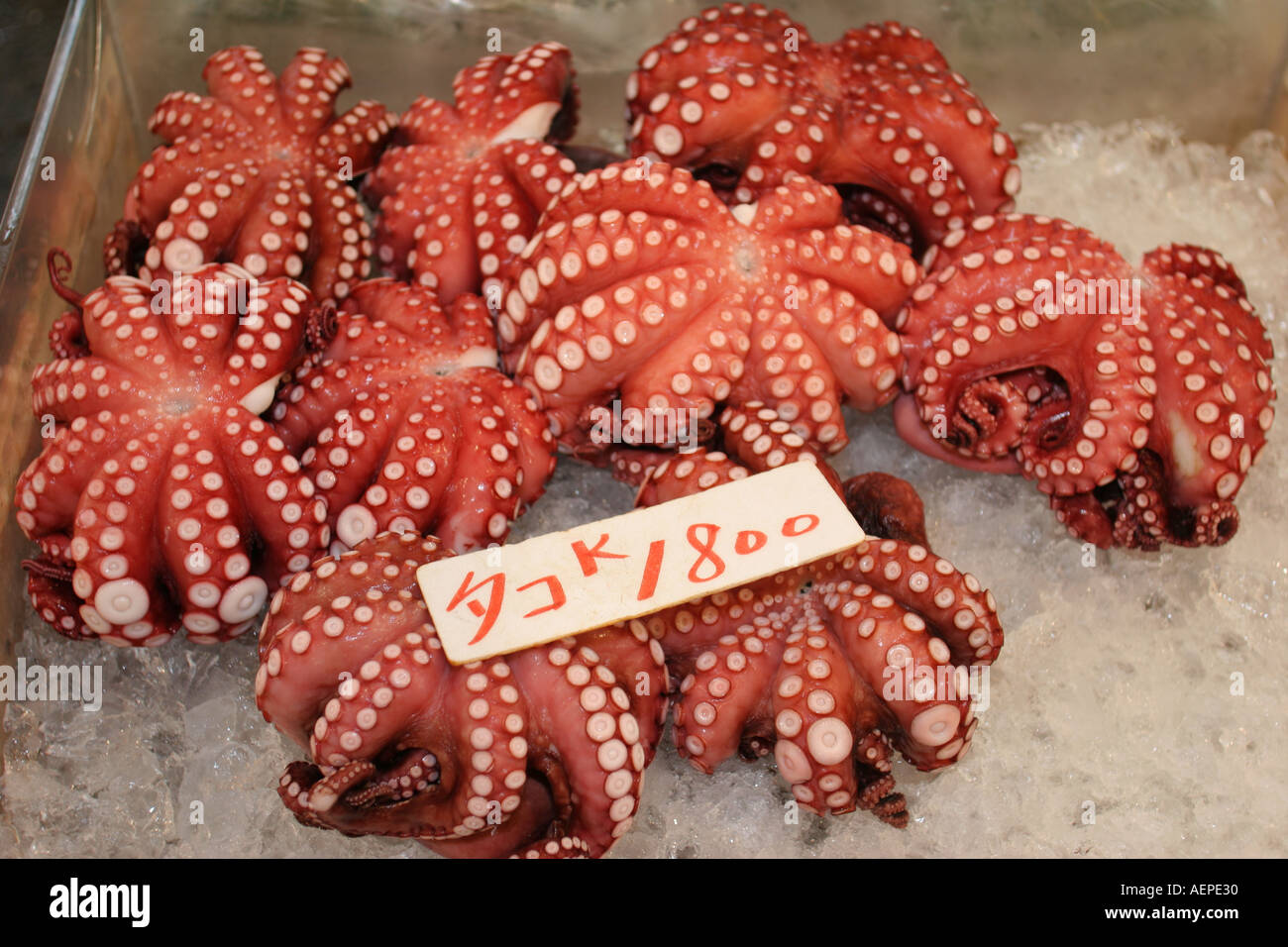 Octopus on sale at Tsukiji Fish Market Tokyo Japan - An example of the ...