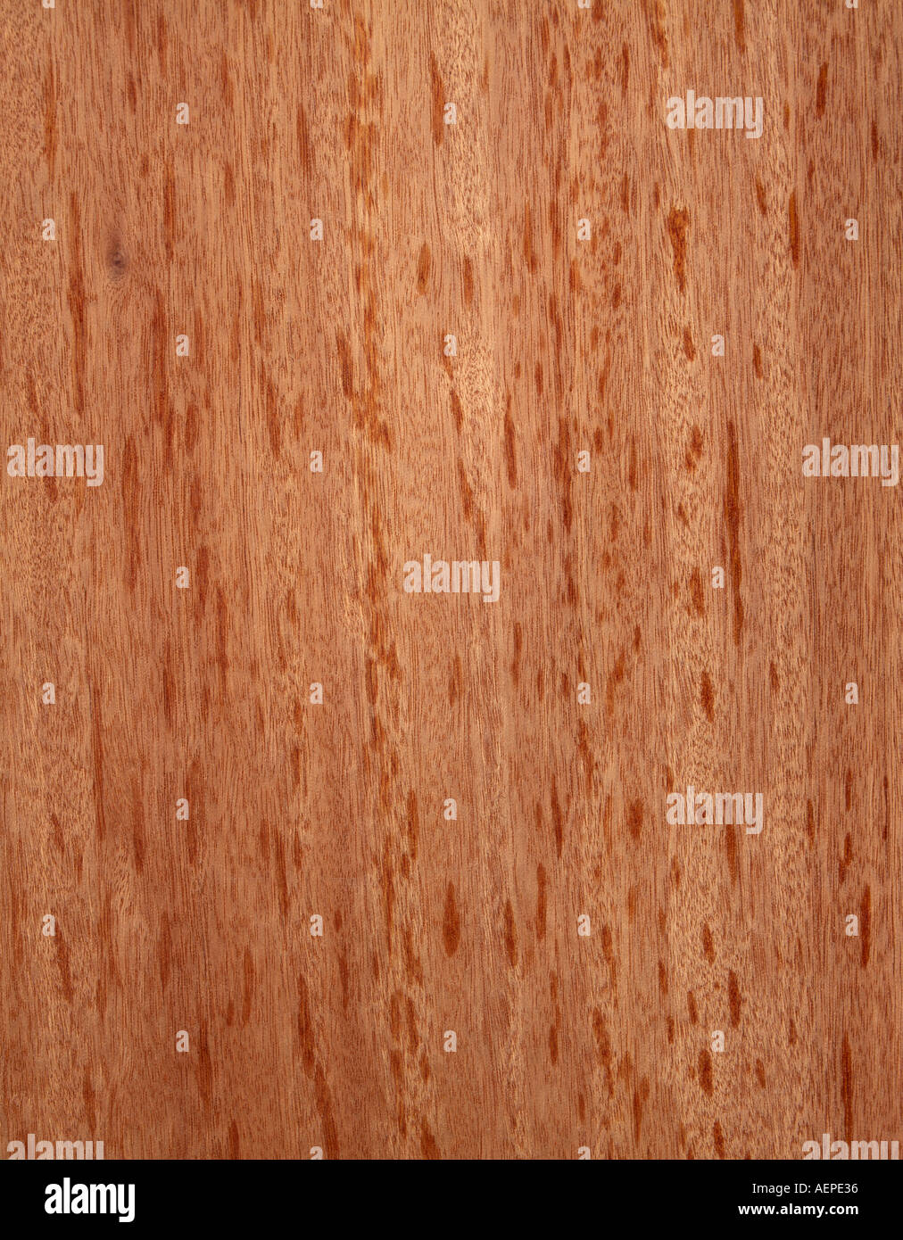 American red oak wood Stock Photo - Alamy