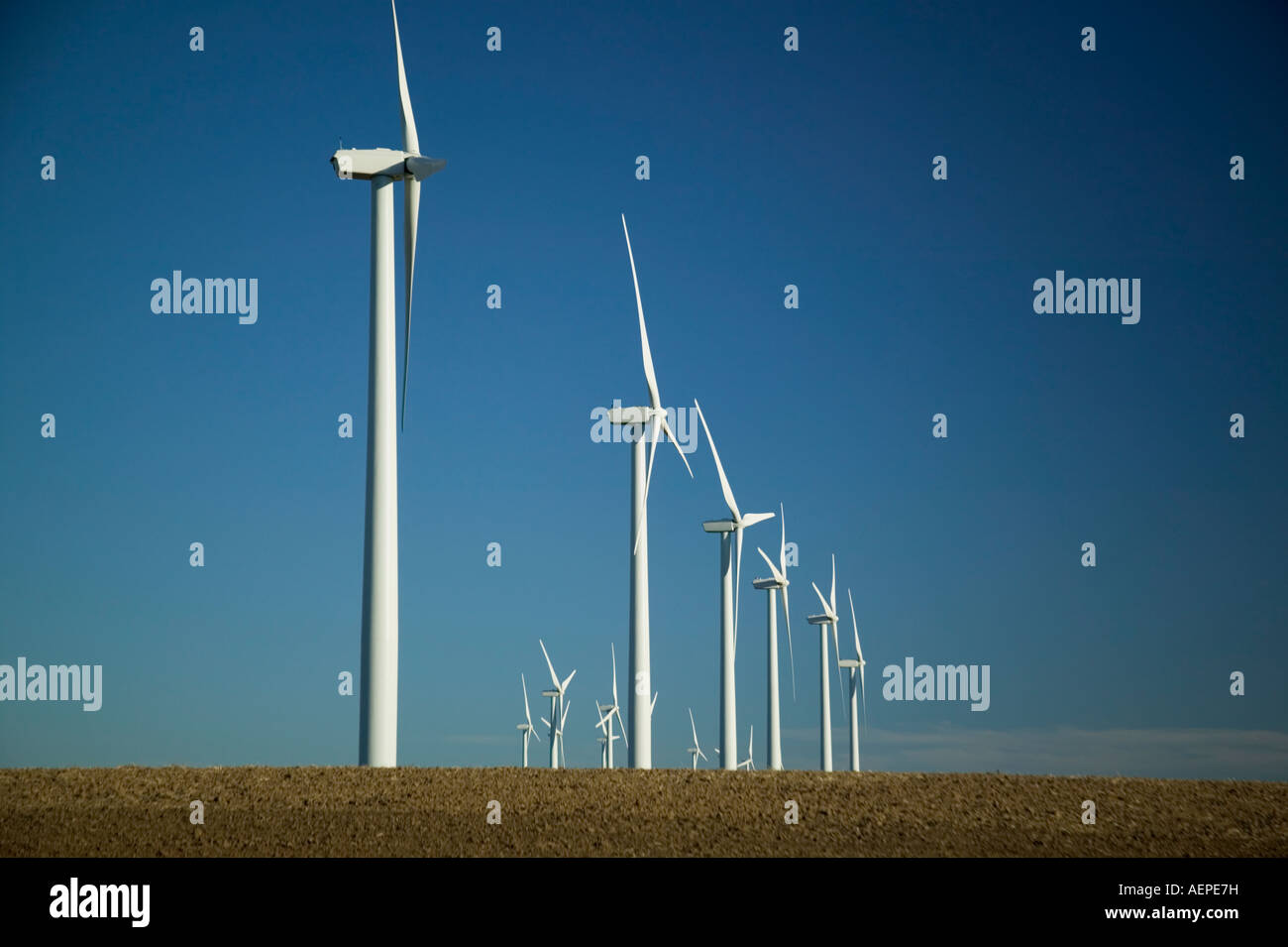 Wind turbine blade field hi-res stock photography and images - Alamy