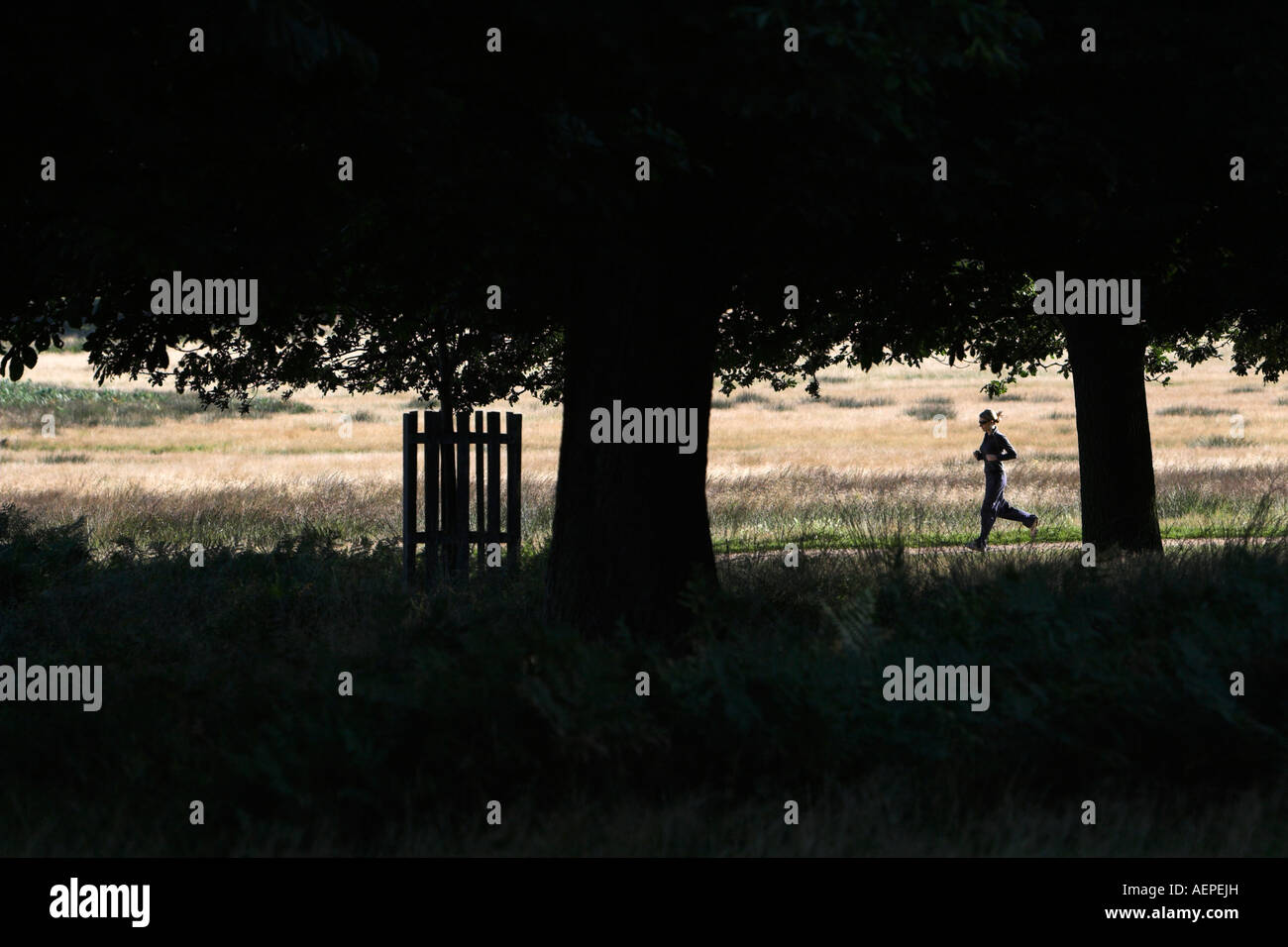 Lady runs for her train hi-res stock photography and images - Alamy